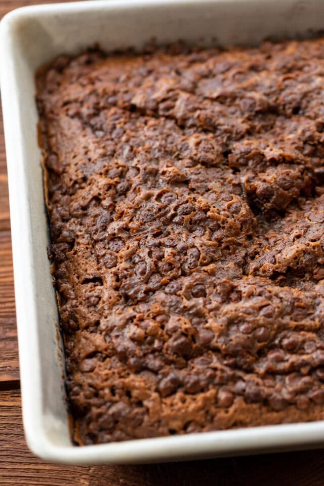 Chocolate Oatmeal Cake - The Cookin Chicks