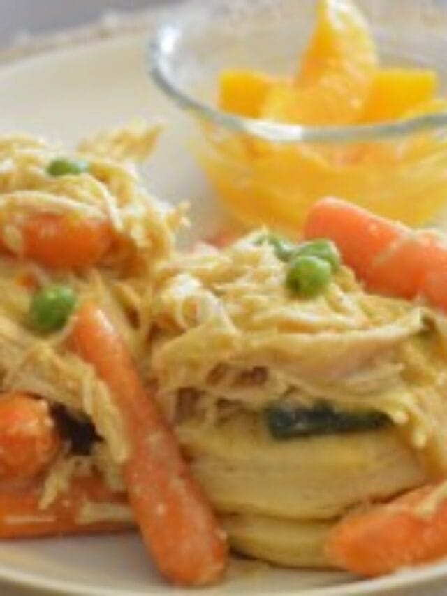 SLOW COOKER CHICKEN POT PIE STEW - The Cookin Chicks