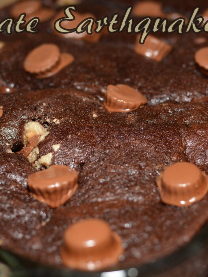 Cakes Archives - The Cookin Chicks