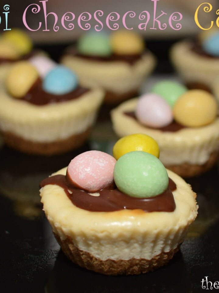 Cakes Archives - The Cookin Chicks