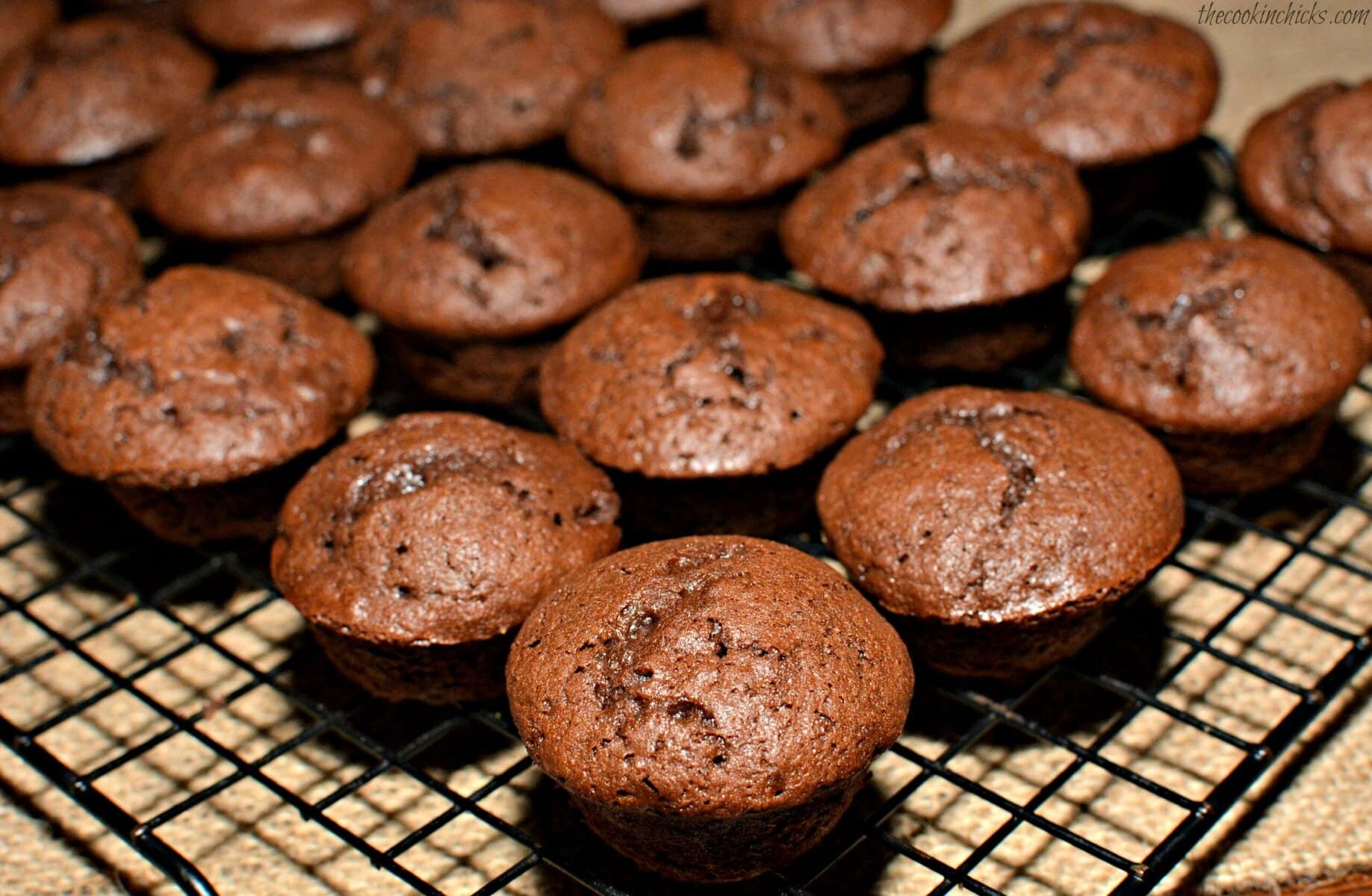 Copycat Costco Chocolate Muffins The Cookin Chicks Copycat Costco Chocolate Muffins The Cookin Chicks