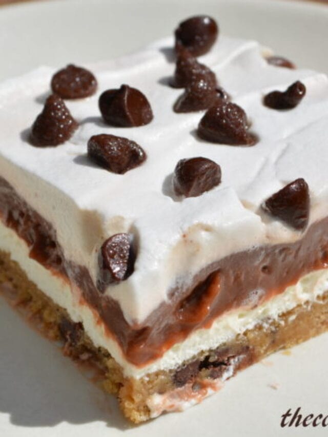 Chocolate Chip Cookie Pudding Cake - The Cookin Chicks