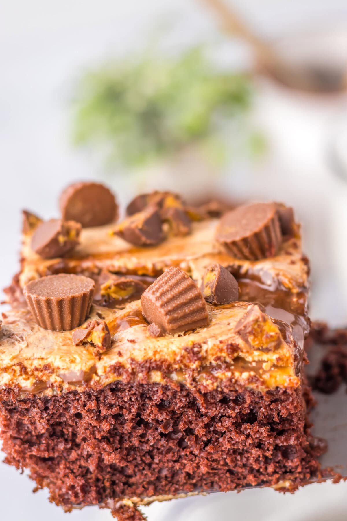 Chocolate Peanut Butter Poke Cake - The Cookin Chicks