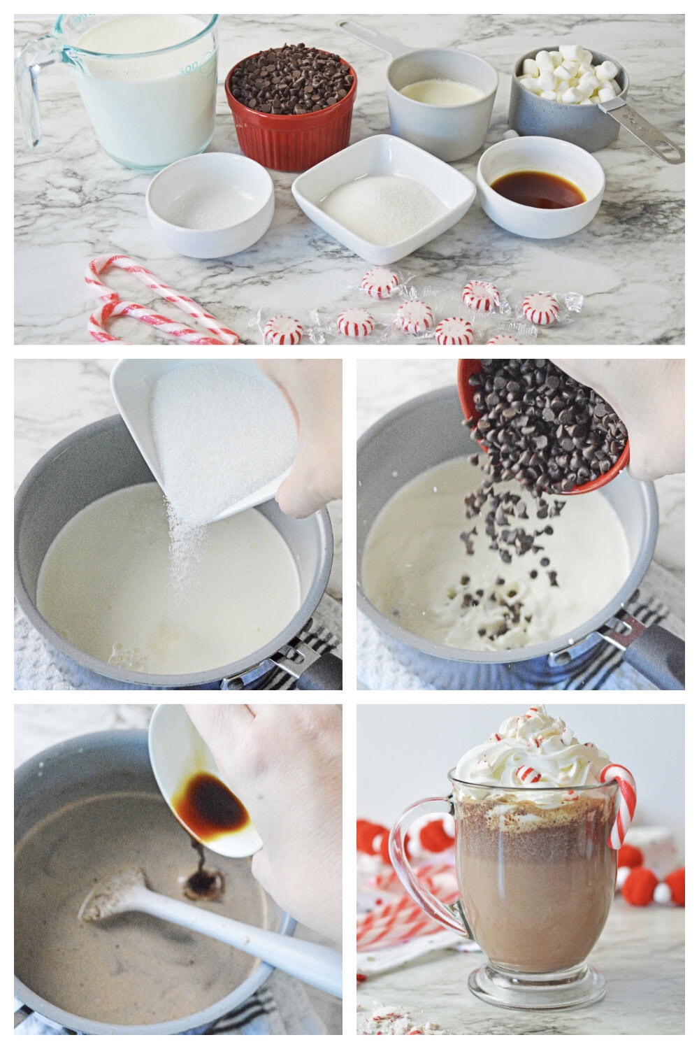 Peppermint Hot Chocolate - The Cookin Chicks