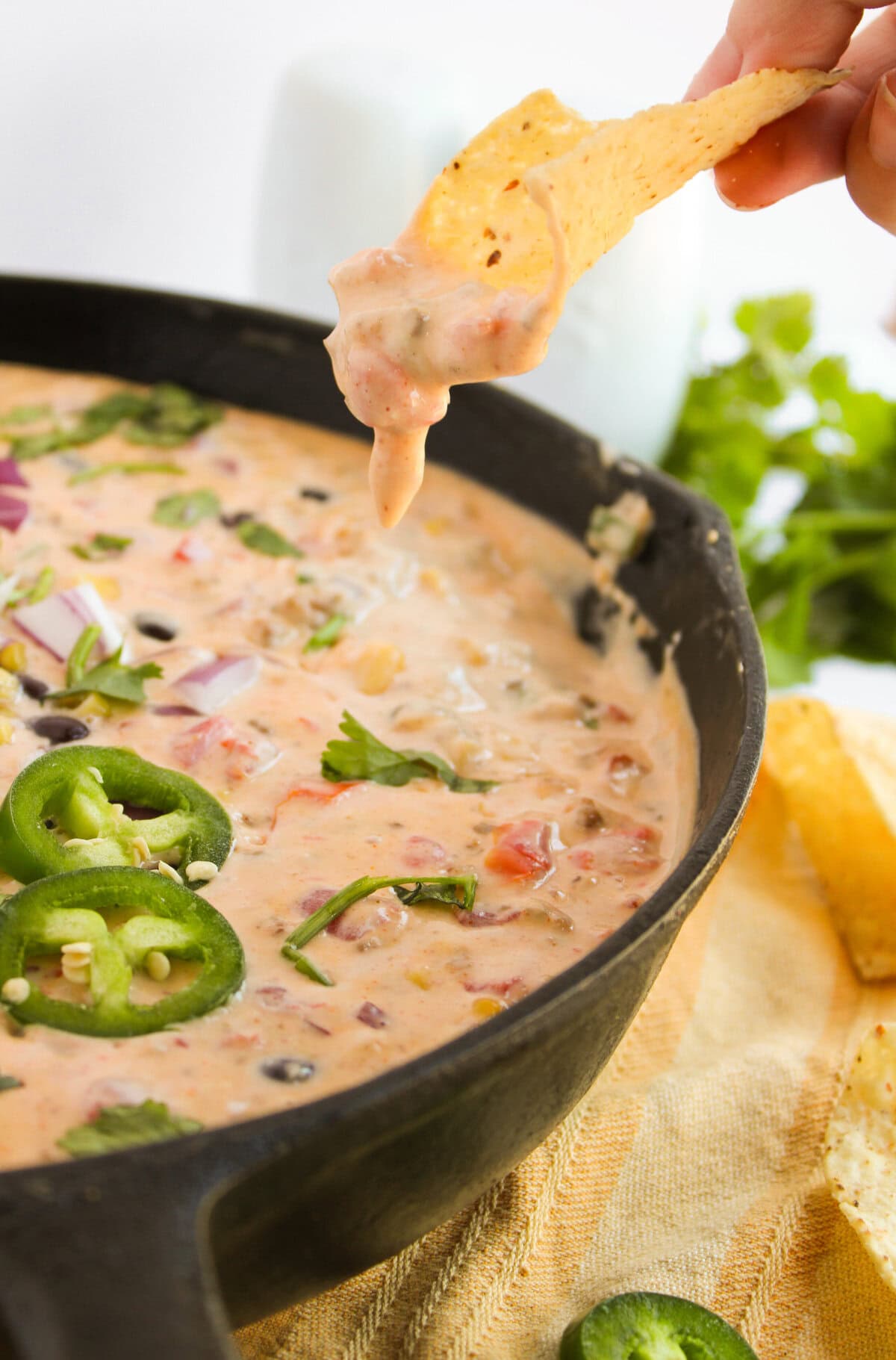 Cowboy Queso - The Cookin Chicks
