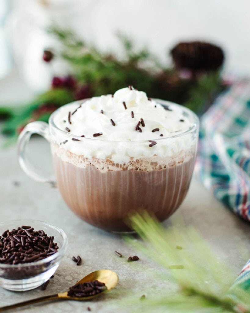 Homemade Creamy Hot Chocolate - The Cookin Chicks